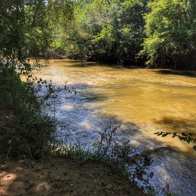 DAN DANIEL MEMORIAL PARK - Updated May 2026 - 11 Photos - 302 River ...