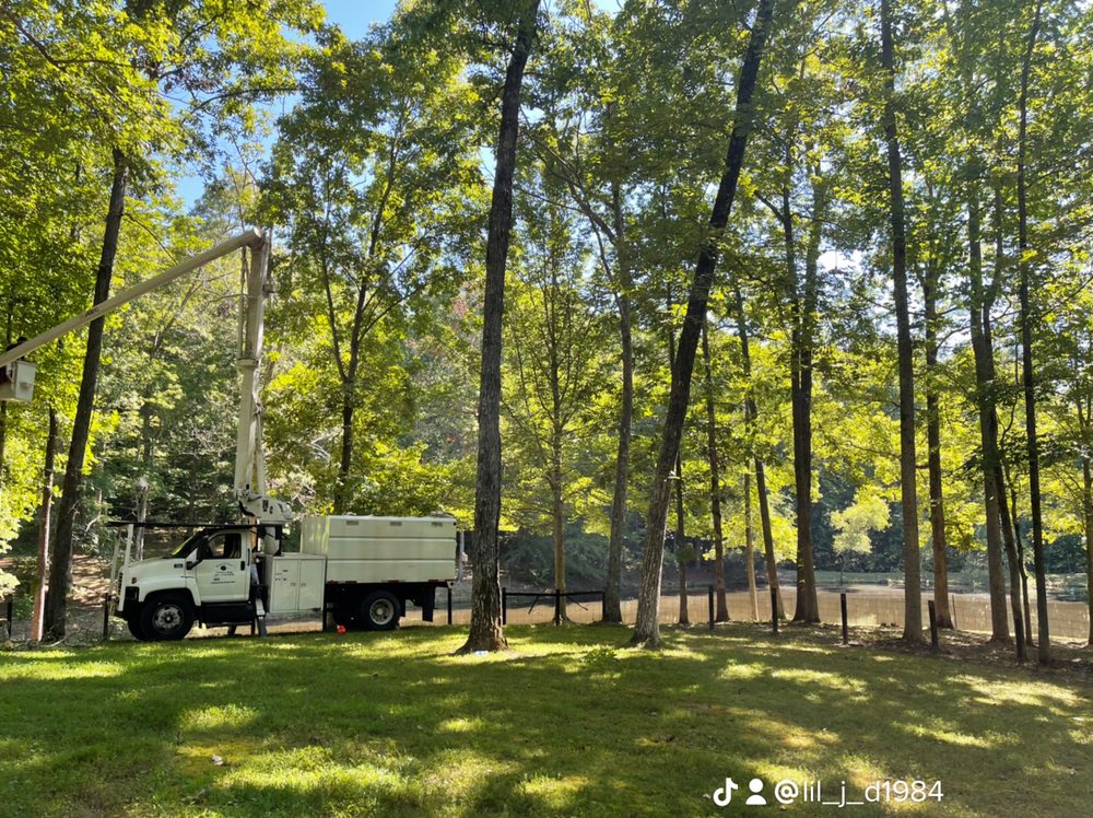 QUALITY FIRST TREE SERVICE - Updated August 2024 - 63 Photos - 4006 ...