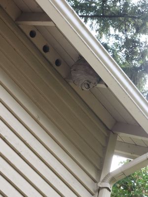 TRIGUARD PEST CONTROL - Updated June 2025 - 55 Photos & 346 Reviews ...