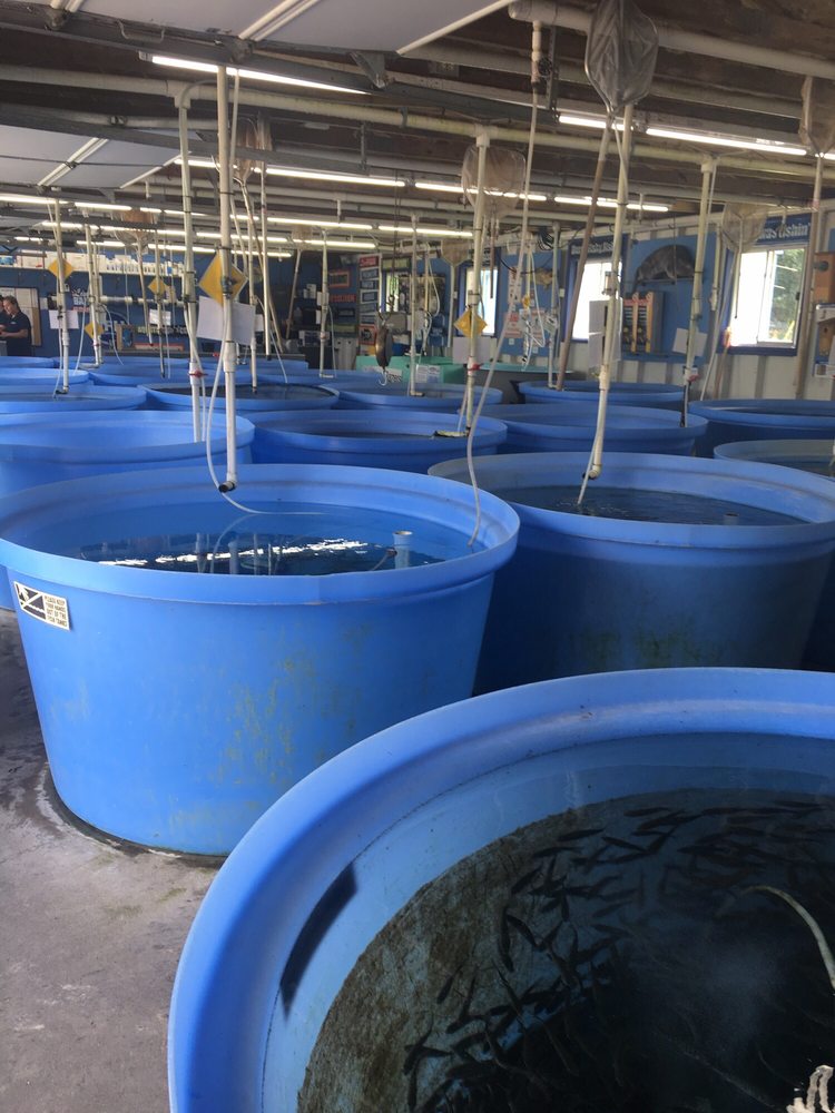 JONES LAKE MANAGEMENT - Updated January 2026 - 16 Photos - 3433 Church ...