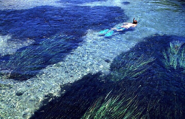 SNORKEL TX - Updated June 2025 - 401 E Hopkins St, San Marcos, Texas ...