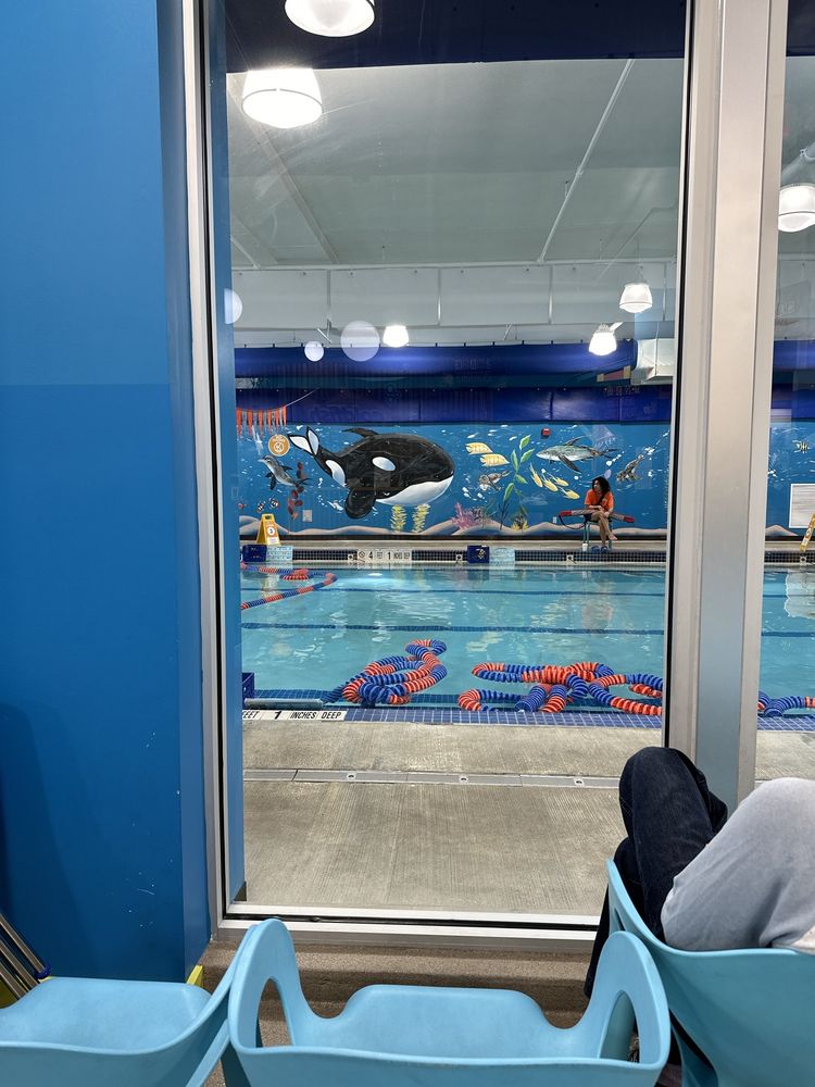 GOLDFISH SWIM SCHOOL - GOWANUS - Updated June 2026 - 15 Photos & 13 ...