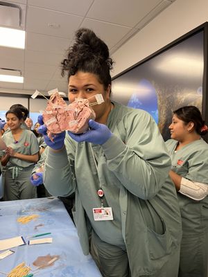 AMERICAN CAREER COLLEGE - Updated January 2026 - 118 Photos & 363 Real ...