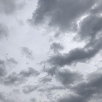 MIDWEST FREEFALL - Updated June 2025 - 67 Photos & 34 Reviews - 62912 ...