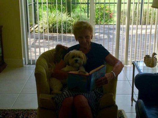 COLLIER COUNTY PUBLIC LIBRARY - Updated October 2025 - 72 Photos & 18 ...