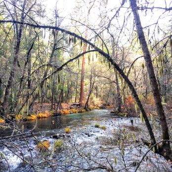 BURNEY FALLS RESORT - Updated September 2025 - 54 Photos & 16 Reviews ...