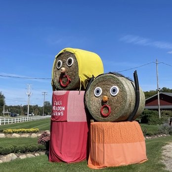 GULL MEADOW FARMS - Updated September 2025 - 94 Photos & 39 Reviews ...