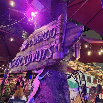 CUCKOO COCONUTS WAIKIKI - Updated June 2024 - 1003 Photos & 740 Reviews ...