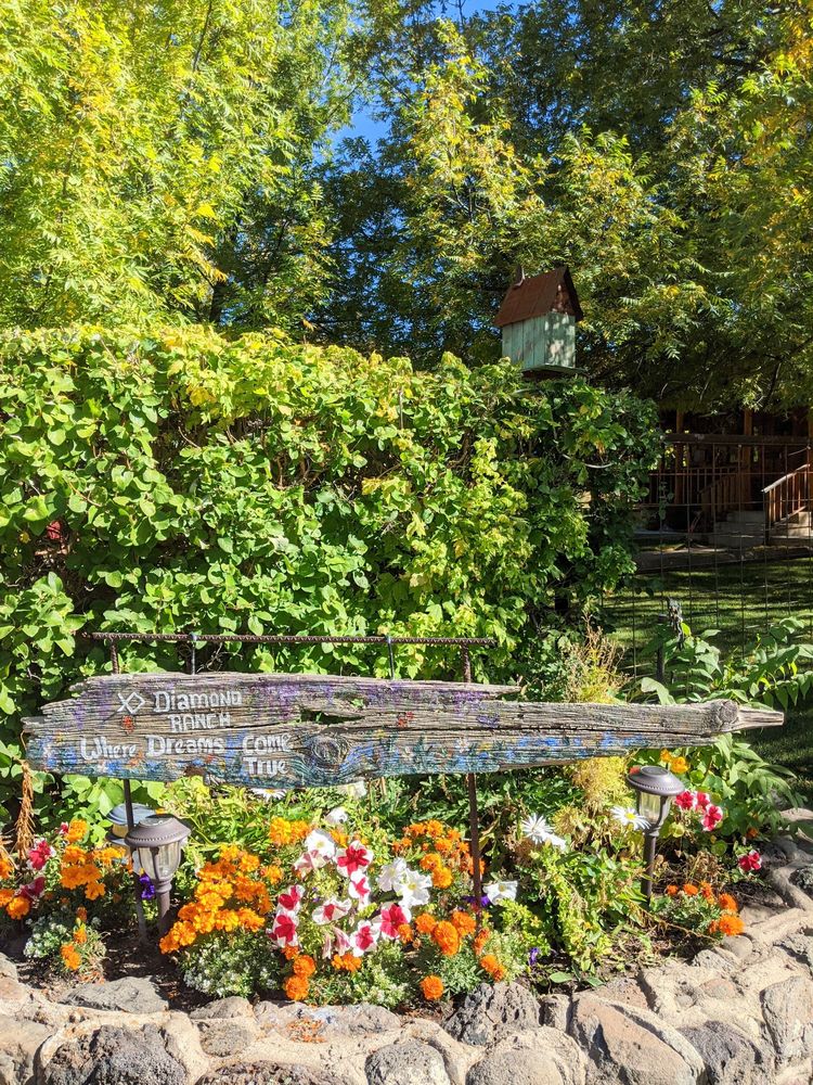 X DIAMOND RANCH - Venues & Event Spaces - 300 South Fork Rd, Eagar, AZ ...