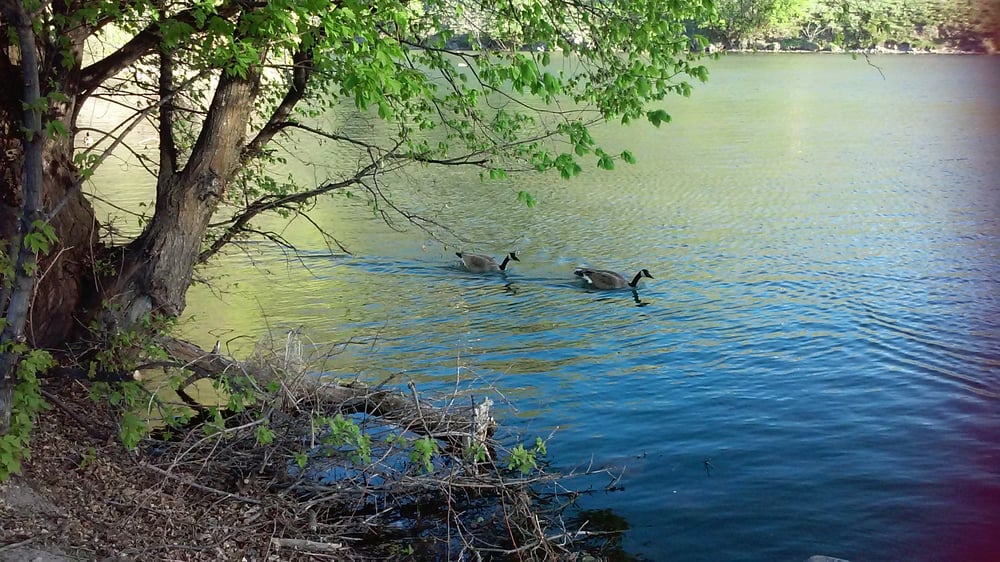 FIRST DAM PARK/CANYON ENTRANCE PARK - Updated October 2025 - US 89 ...