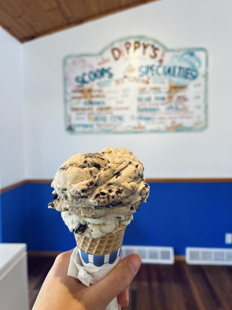 DIPPY’S ICE CREAM - Updated June 2026 - 24 Reviews - 4193 Main St, Fish ...