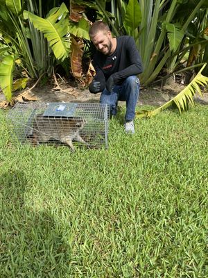 SURESHOT PEST SOLUTIONS - Updated October 2025 - Boca Raton, Florida ...
