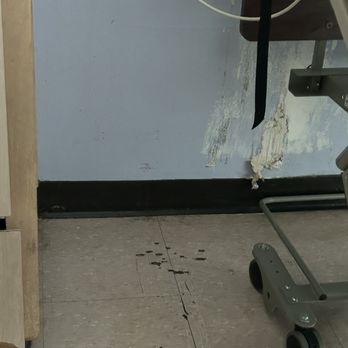 MADISON GROVE POST ACUTE - Updated December 2025 - 73 Photos & 69 ...