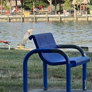 FLYING POINT MARINA - Updated December 2025 - 35 Photos - 324 Flying ...