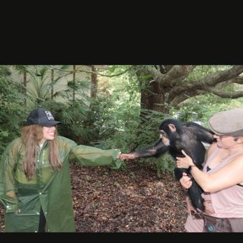 MYRTLE BEACH SAFARI - Updated November 2025 - 99 Photos & 25 Reviews ...