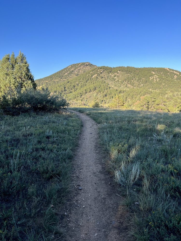 CENTENNIAL CONE PARK - Updated January 2026 - 20 Photos - Clear Creek ...