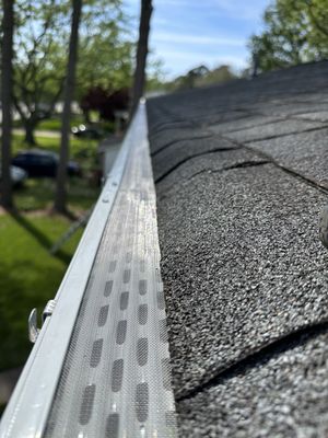 GUTTERS MATTER - Updated October 2025 - 28 Photos - 750 Lord Dunmore Dr ...