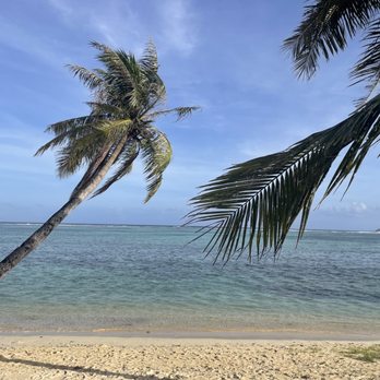 TURE’ CAFE - Updated January 2025 - 163 Photos & 114 Reviews - 349 ...