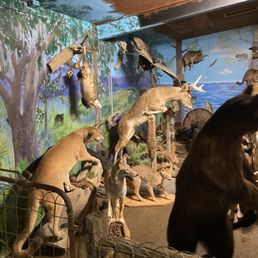 THE YEARLING RESTAURANT - Updated July 2025 - 375 Photos & 180 Reviews ...