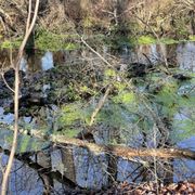 BLYDENBURGH PARK - 144 Photos & 53 Reviews - Parks - 100 Veterans ...