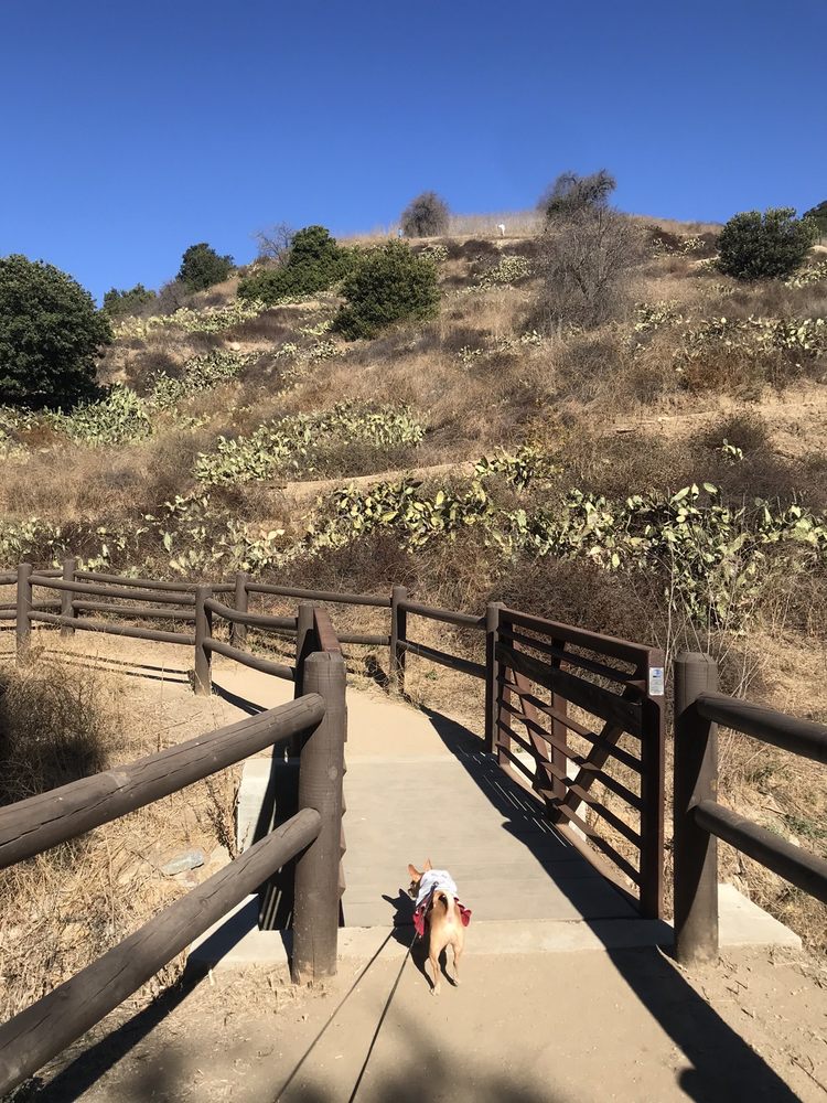 SUMMITRIDGE PARK - Updated October 2024 - 244 Photos & 59 Reviews ...