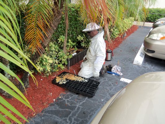 TURNER PEST CONTROL - Updated July 2025 - 19 Photos - 8254 Bama Ln ...