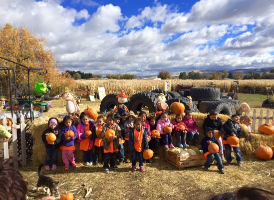 SWORE FARMS - Updated December 2025 - 30 Photos - 225 Ballard Rd ...