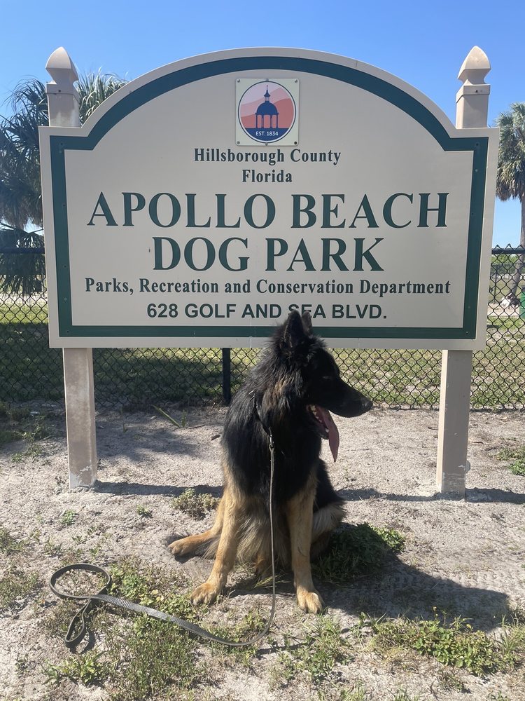 APOLLO BEACH DOG PARK - Updated December 2025 - 25 Photos & 21 Reviews ...
