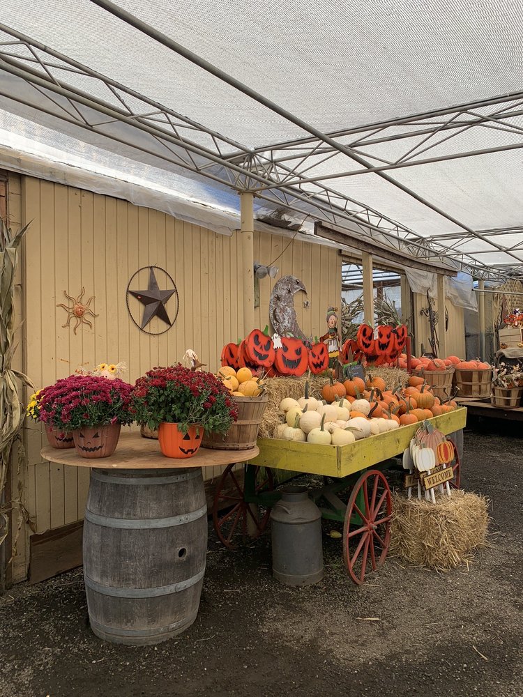 FINK’S COUNTRY FARM - Updated October 2024 - 136 Photos & 76 Reviews ...