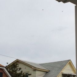 BIG BLUE BUG SOLUTIONS - 23 Photos & 126 Reviews - 161 O'Connell St ...