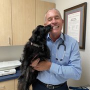 SOUTH COUNTY ANIMAL HOSPITAL - 56 Photos & 115 Reviews - 15790 Monterey ...