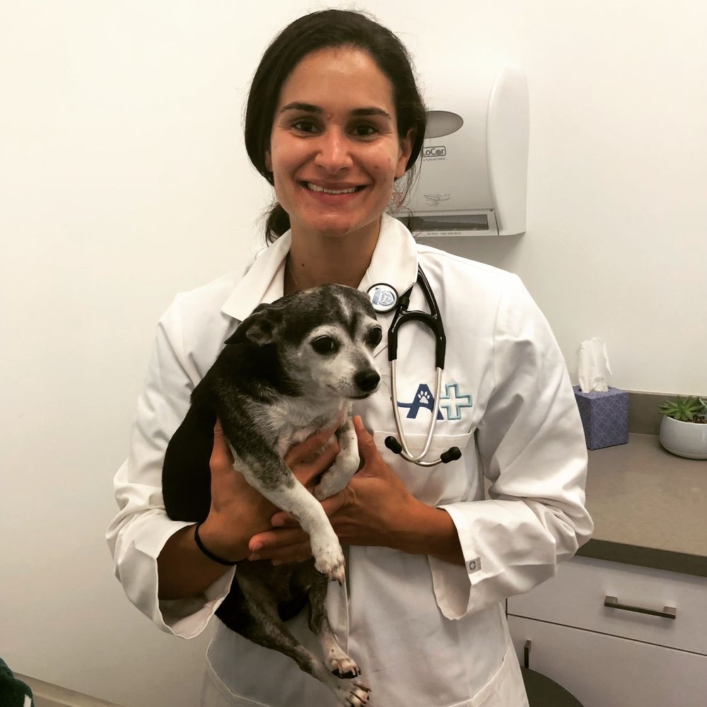 ADVANCED VETERINARY CARE CENTER - Updated November 2024 - 65 Photos ...