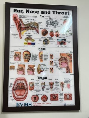 EVMS OTOLARYNGOLOGY - Updated November 2025 - 20 Photos - 600 Gresham ...