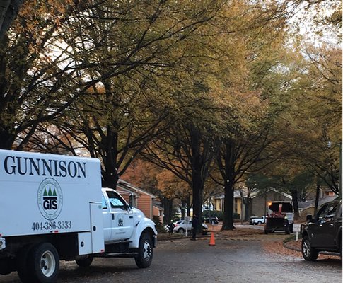 GUNNISON TREE SERVICES - Updated December 2025 - 26 Photos & 73 Reviews ...