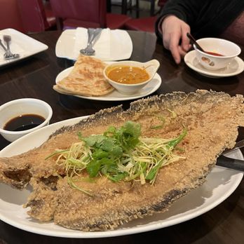 COCO ASIAN CUISINE RESTAURANT - Updated August 2024 - 693 Photos & 364 ...