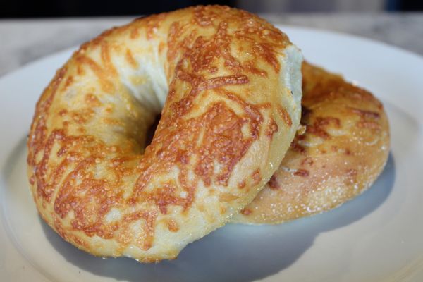 FANCY BAGELS SOUTHWICK - Updated September 2025 - 17 Photos & 15 ...