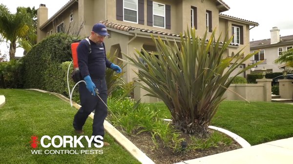 CORKY’S PEST CONTROL - Updated December 2025 - 48 Photos & 585 Reviews ...