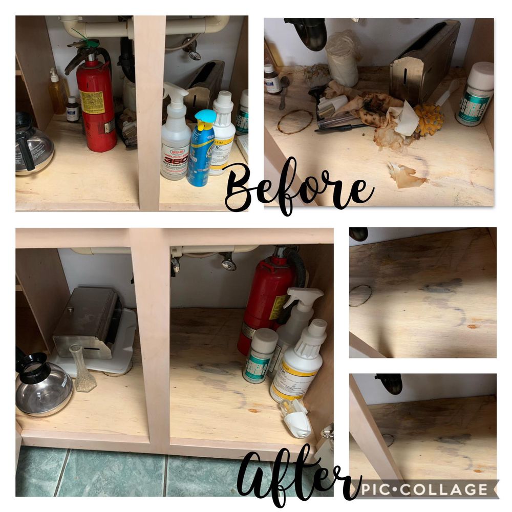 FIRST CLASS CLEANING - Updated May 2024 - Request a Quote - 26 Photos ...