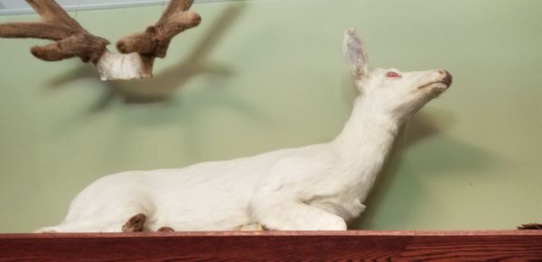 ELK COUNTRY VISITORS CENTER - Updated June 2024 - 46 Photos & 14 ...