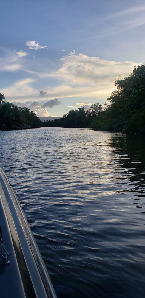 TABONUCO TAXI & TOURS - Updated October 2024 - 63 Photos - Rio Grande ...