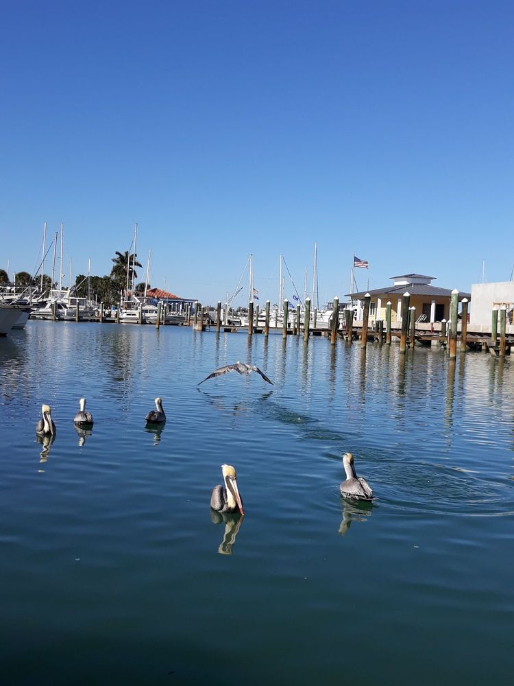Ft Pierce Inlet Marina, Fort Pierce | Roadtrippers