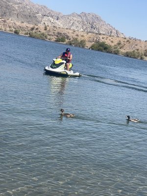 ALOHA JET SKI RENTALS - Updated July 2025 - 80 Photos & 77 Reviews ...