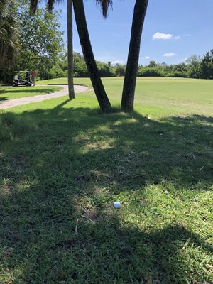 MANATEE COUNTY GOLF COURSE - 13 Photos & 16 Reviews - 6415 53rd Ave W ...