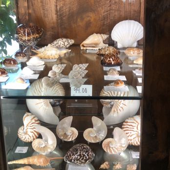 SHELL WORLD - Updated September 2025 - 199 Photos & 111 Reviews - 97600 ...