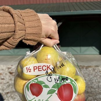 THE APPLE WORKS - Updated December 2025 - 325 Photos & 100 Reviews ...