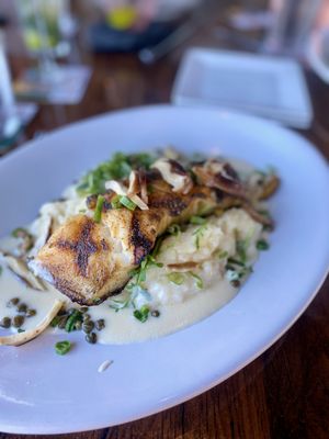NONA BLUE MODERN TAVERN - 477 Photos & 323 Reviews - American ...