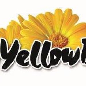 A&H TURF & SPECIALTIES - Updated May 2025 - 14 Reviews - 468 Moore Ln ...