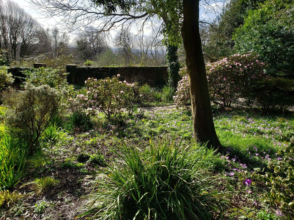 THE ROOKERY - Streatham common, London, United Kingdom - Parks - Yelp