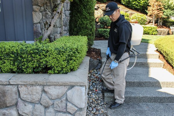 STOP BUGGING ME PEST CONTROL - Updated December 2025 - 11 Photos & 77 ...