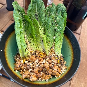 GINGER - 30 Photos - 744 Red Lion Rd, Philadelphia, Pennsylvania ...